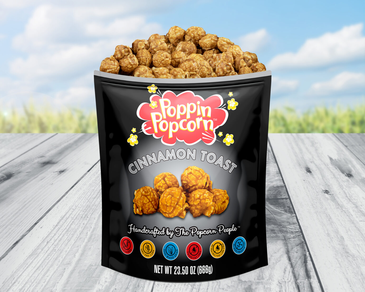 Gourmet Popcorn Fundraiser, The Complete Guide - [Top] 11 Popcorn ...